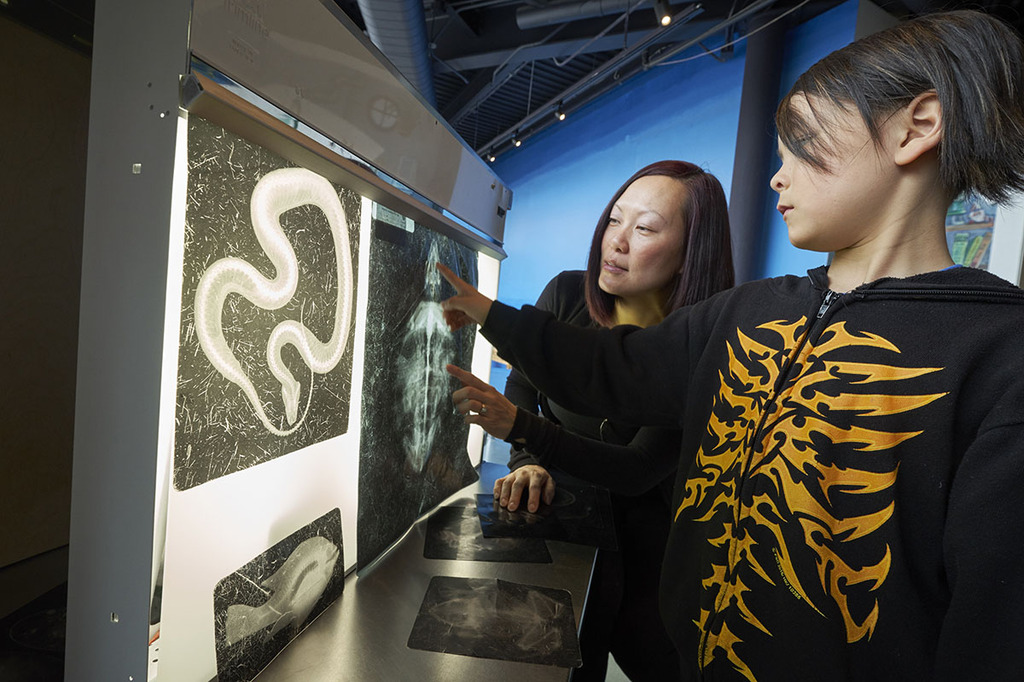 New England Museum Association :: ECHO, Leahy Center for Lake Champlain